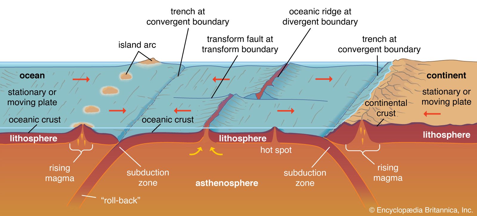 Oceanic Plates: Understanding Their Role in Earth's Geology