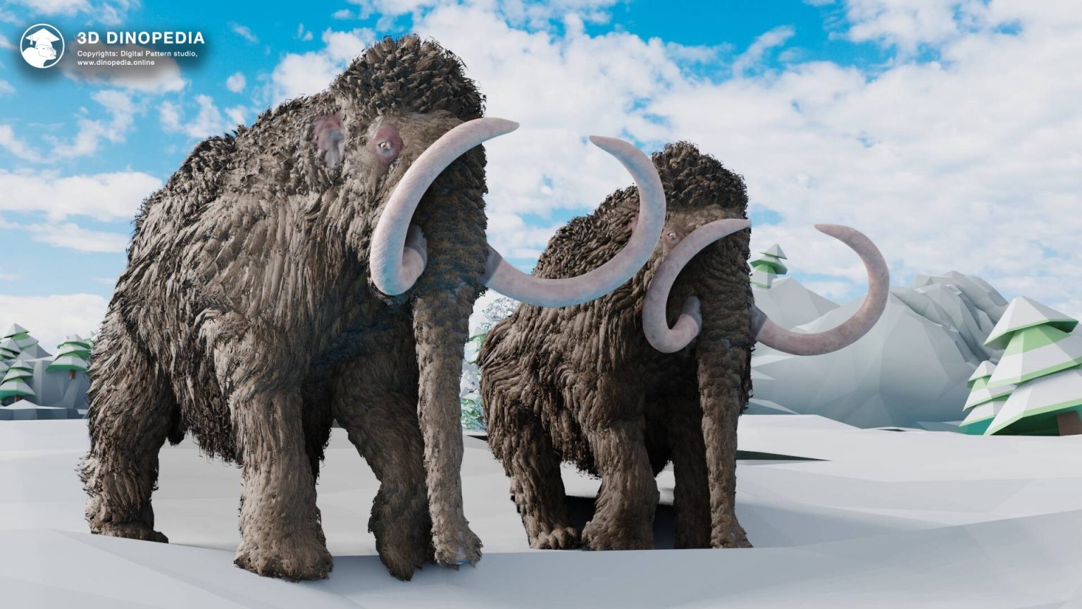 Plants and Animals: Ice Age Facts and Climate Connections