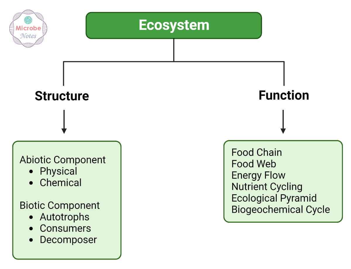 Understanding Ecosystem: Definition, Components, and More