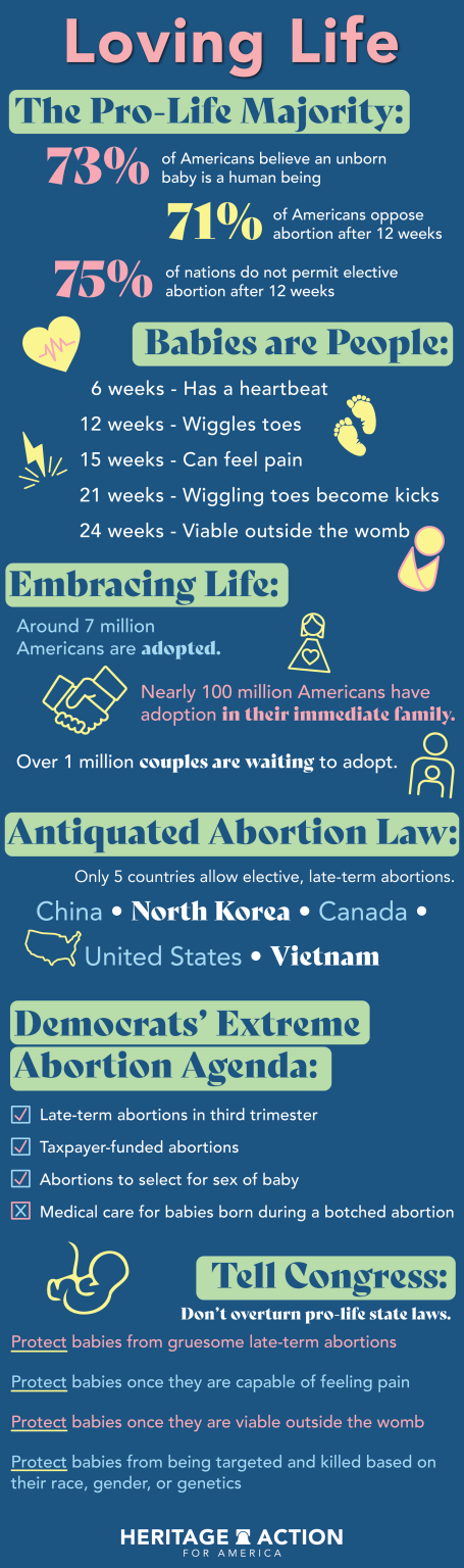 What are the pros and cons of pro-life vs. pro-choice healthcare